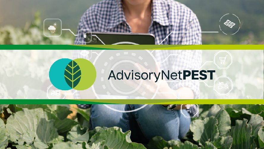 AdvisoryNetPEST - GAIA ΕΠΙΧΕΙΡΕΙΝ